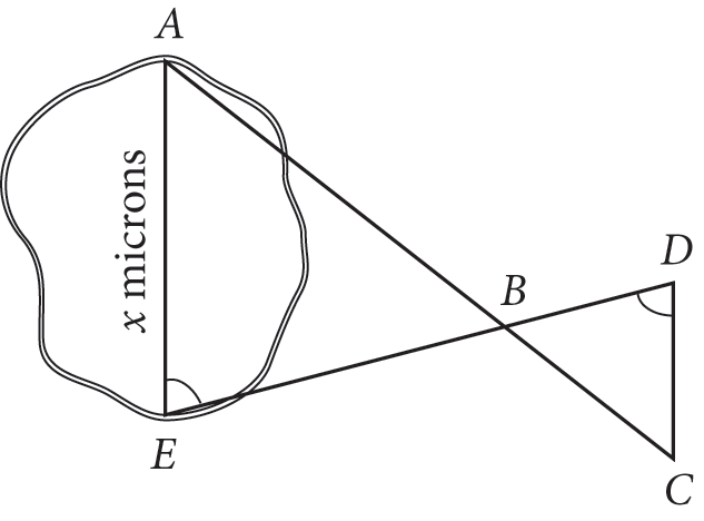 SAT Math Grid-ins Practice Test 33_CrackSAT.net